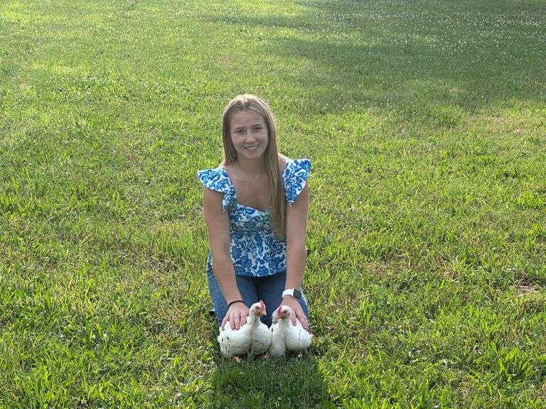 Lillian Chenoweth Firelands FFA - Breeders World