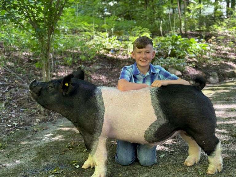 Ethan Koch Swingin' Hams - Breeders World