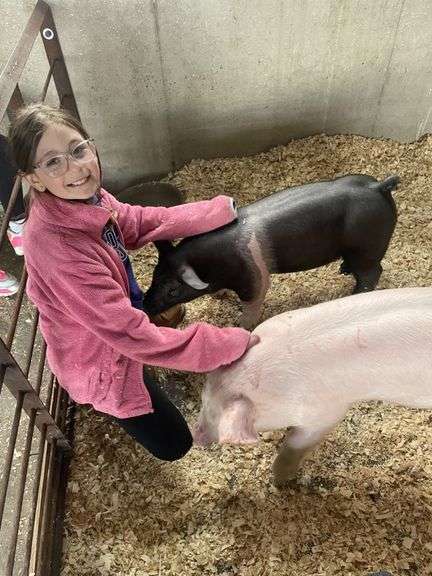 Mariah Schwieterman Buckeye 88 - Breeders World