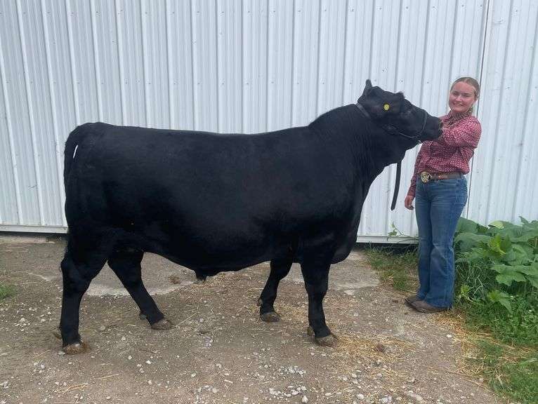 Kyleigh Klingshirn Firelands FFA - Breeders World