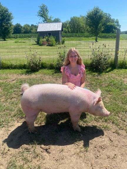 Willow Holloway Firelands FFA - Breeders World