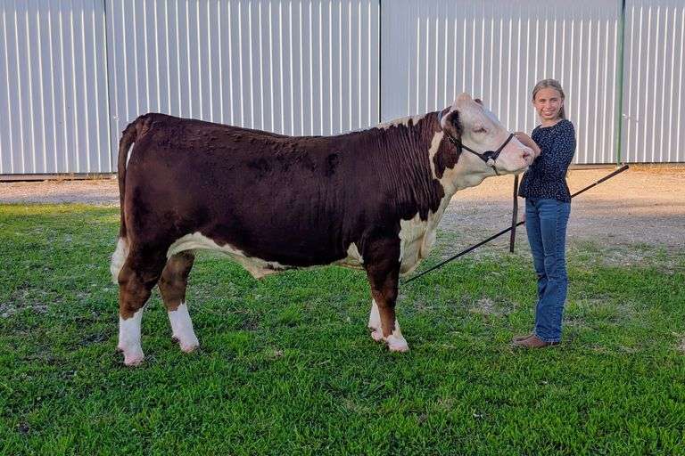 Gabrielle Keets Four Leaf Clovers 4-H Club - Breeders World