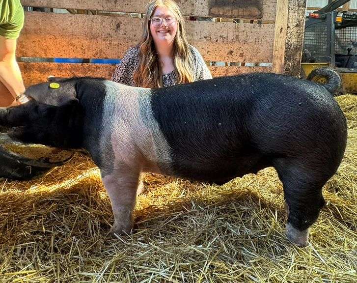Katelyn Campana Firelands FFA - Breeders World
