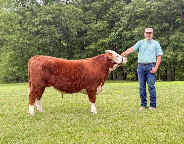 Hoopes, Matthew - Columbiana County Jr Fair Auction