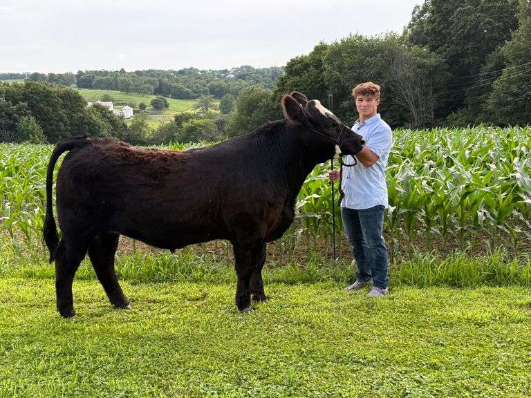 Julian, Bo - Columbiana County Jr Fair Auction