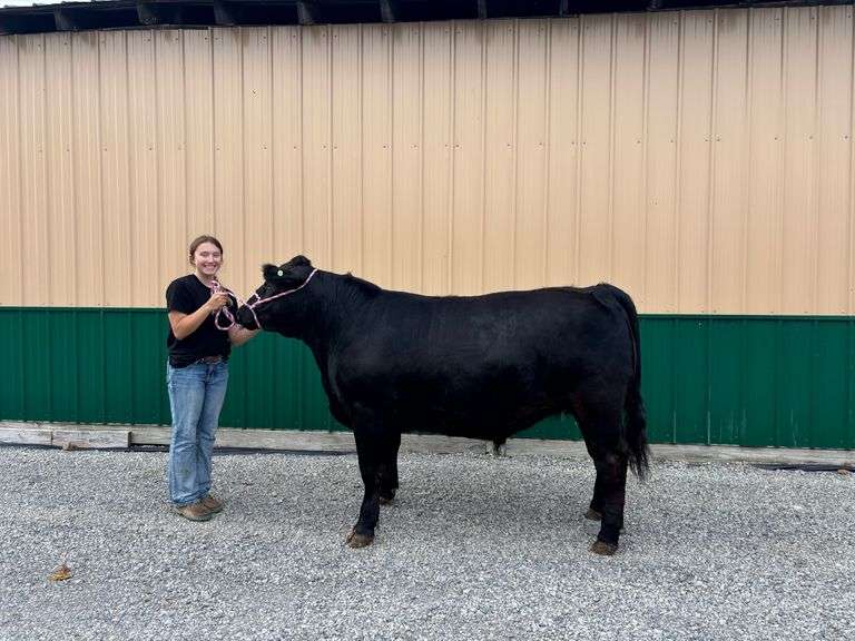 Hawk, Mati - Columbiana County Jr Fair Auction