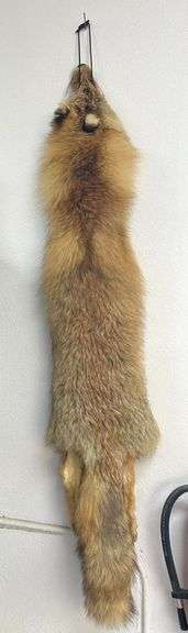 Fox Pelt - Prime Time Auctions, Inc.