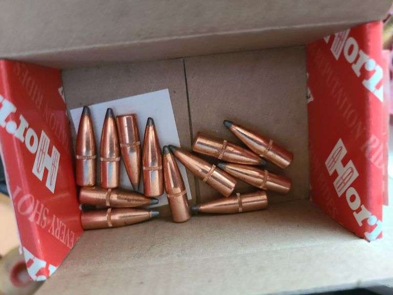 Remington Hollow Point Bullets, Winchester 22Lr. 40 Gr. Bullets, Speer ...