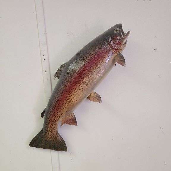 Trout Fish Mount Replica - Prime Time Auctions, Inc.