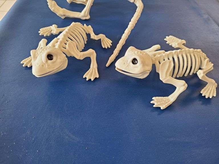 3D Skeleton Animals - Prime Time Auctions, Inc.
