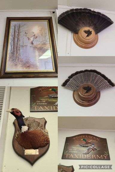Framed Print, Pheasant Taxidermy Mount, Taxidermy Sign, 2) Grouse ...