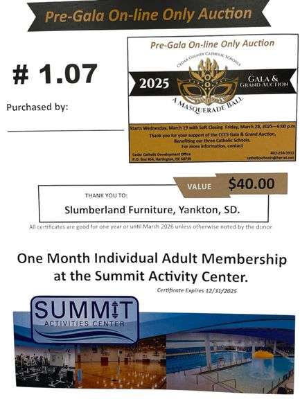 One Month Individual Adult Membership at the Summit Activities Center ...