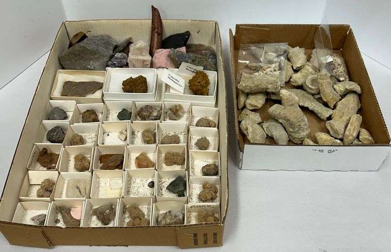 Rocks & Fossils - Creamer Auction