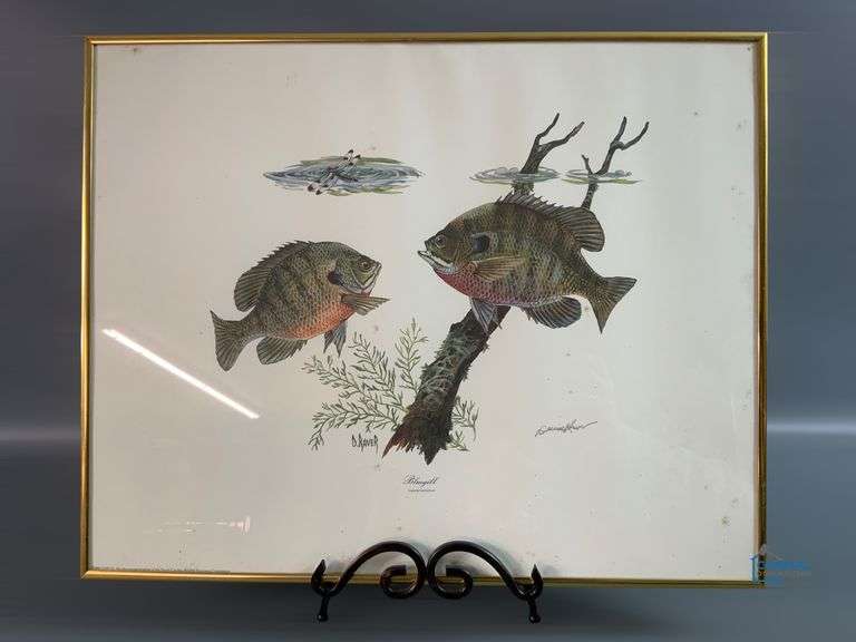 Framed Fish Art 20” x 16” - Coastal Downsizing LLC