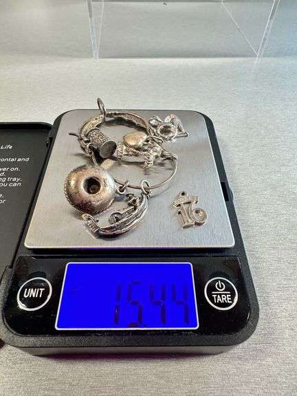 Sterling Silver Charms, Weighs 15.44 Grams - Coastal Downsizing LLC