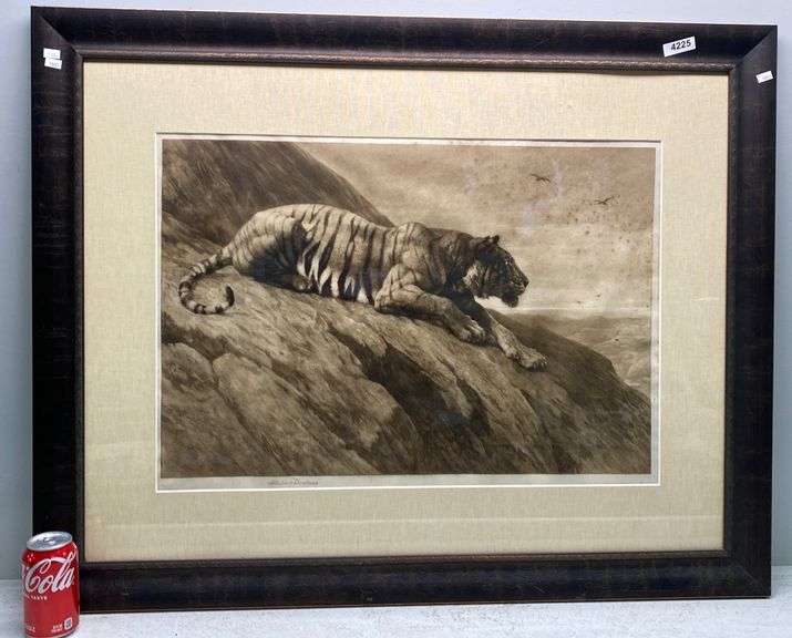Antique Herbert Dicksee print of tiger - Dixon's Auction at Crumpton