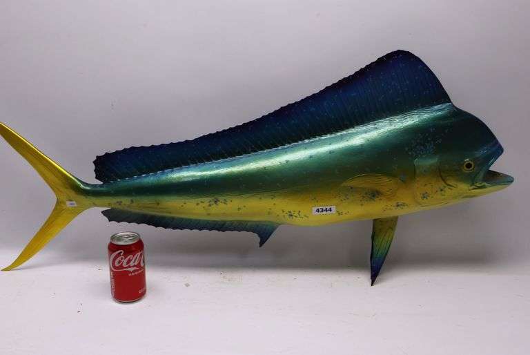Mahi Mahi Taxidermy Wall Mount - Dixon's Auction at Crumpton