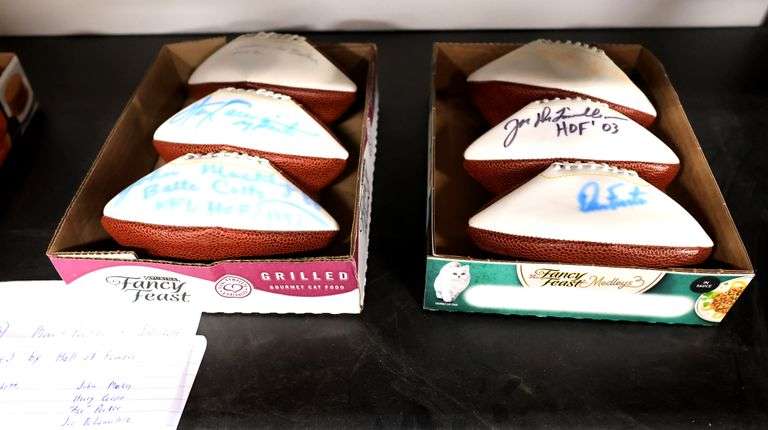 Lot of (9) Mini Footballs Signed By Hall of Fame Players (Unverified ...