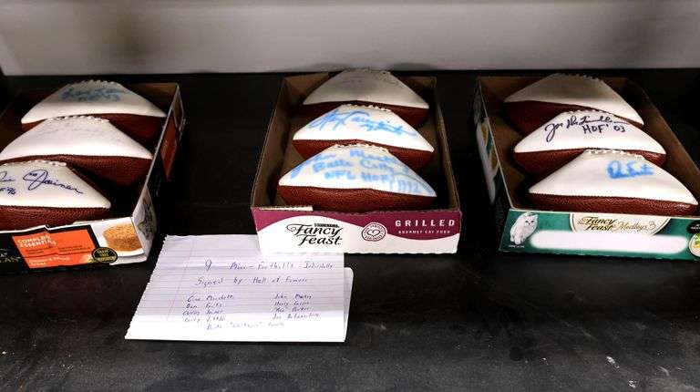 Lot of (9) Mini Footballs Signed By Hall of Fame Players (Unverified ...