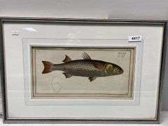(2) Hand-Colored 18th Century Fish Engravings - Dixon's Auction at Crumpton