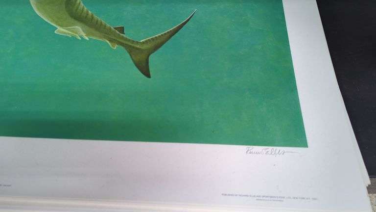 20+ Richard Ellis Signed Shark Prints - Dixon's Auction at Crumpton