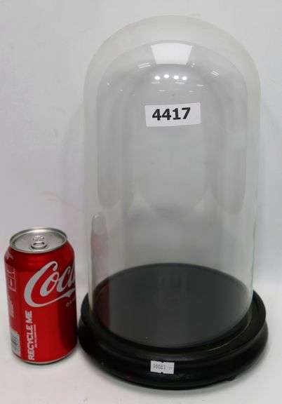Antique Glass Dome Case - Dixon's Auction at Crumpton