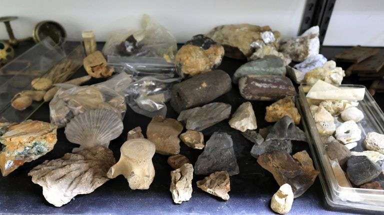Collection of Fossils & Geologic Specimens, Brass Hardware, Tools ...