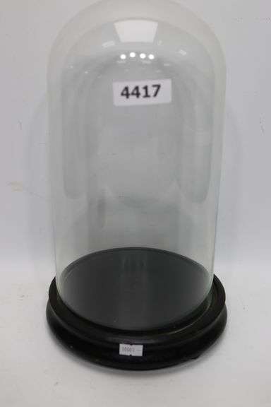 Antique Glass Dome Case - Dixon's Auction at Crumpton