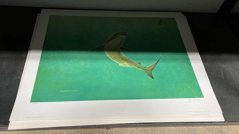 (25) Richard Ellis Signed and Numbered Tiger Shark Prints - Dixon's ...