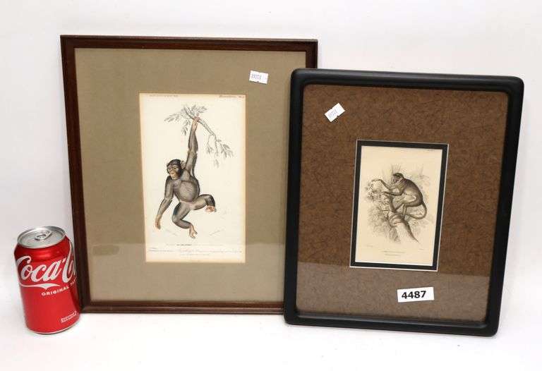 2 Antique Monkey Prints - Dixon's Auction at Crumpton