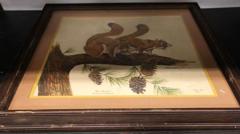 Framed Gene Gray Red Squirrel Print - Dixon's Auction at Crumpton