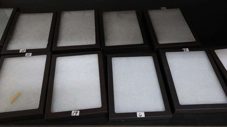 Lot of Riker Mount Display Cases - Dixon's Auction at Crumpton