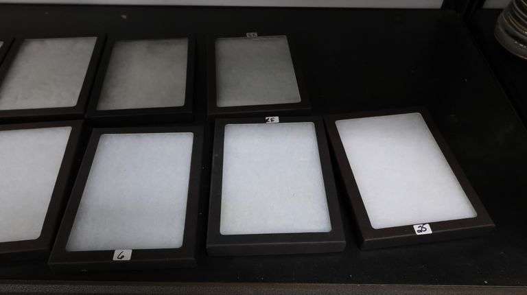 Lot of Riker Mount Display Cases - Dixon's Auction at Crumpton