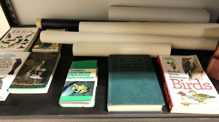 Collection of Books on Birds & Wildlife - Dixon's Auction at Crumpton