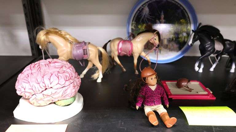 Lot of Disney Dolls, Vintage Marchon Stallion Horse Toys, Brain Model ...