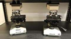 (2) Vintage Olympus Ch-2 Microscopes - Dixon's Auction at Crumpton