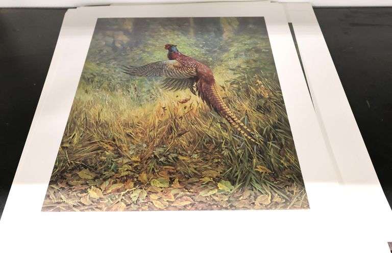Approx (50) Pheasant Prints By William Hollywood - Dixon's Auction at ...
