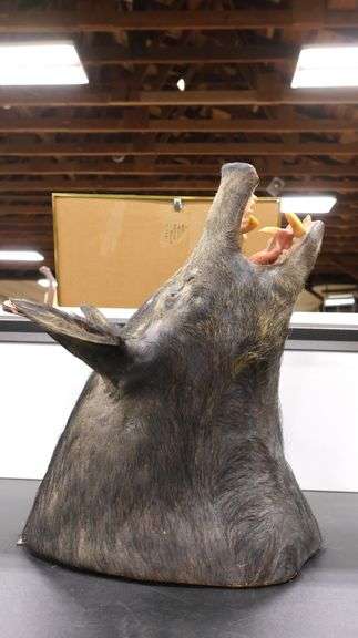 Vintage Mounted Wild Pig / Boars Head - Dixon's Auction at Crumpton