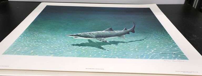Approx (35) Signed Nurse Shark Prints By Richard Ellis - Dixon's ...