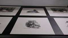 Collection of Ward Bros / Jack Schroeder Signed Decoy Prints - Dixon's ...