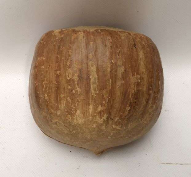 Antique Hazelnut Paper Mache Candy Container Box - Dixon's Auction at ...