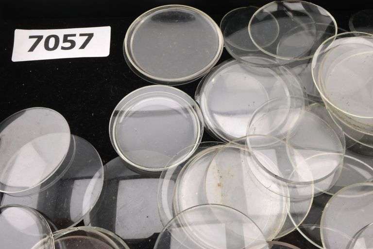 Tray Lot of Watch Crystals - Dixon's Auction at Crumpton