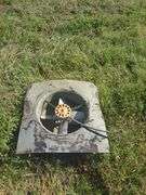 Lau Fan - Delaware Auction Center