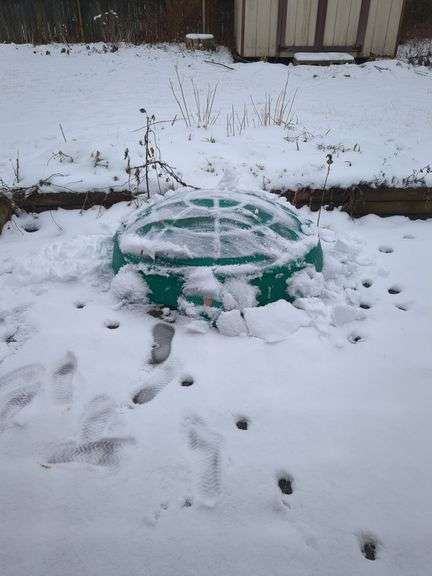 Plastic Turtle Lidded Sandbox - Delaware Auction Center