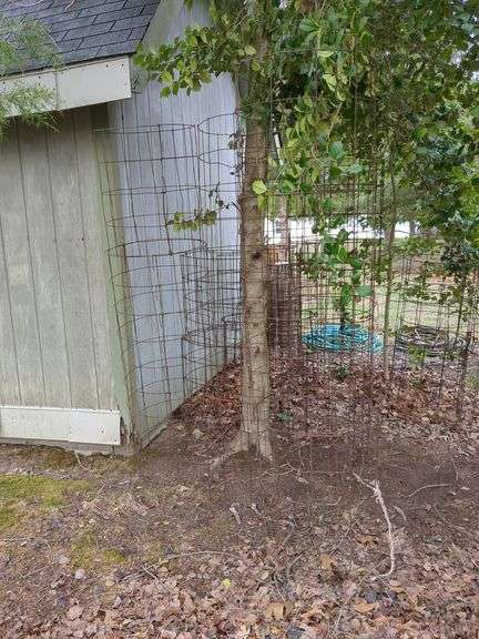 (5) Tomato Cages/Tree Protector Cages - Delaware Auction Center