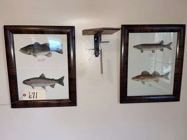 Framed fish pictures not including shelf • Wood • 2nd floor - Duck Soup ...