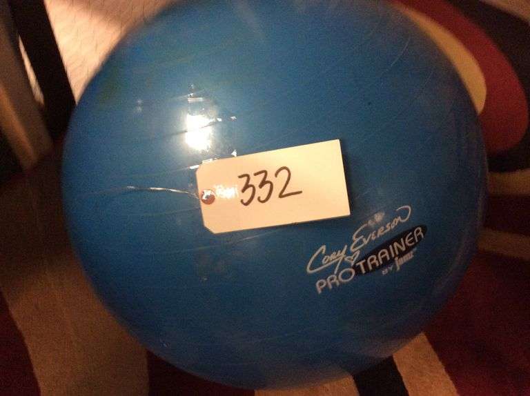 Exercise Ball - Duck Soup Auctions