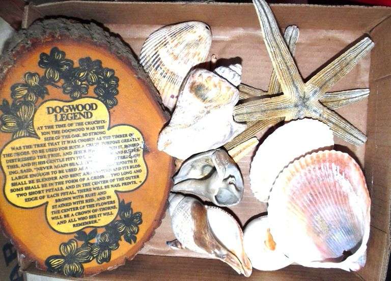 Dogwood Ledgend & Sea Shells - Dunker Auction