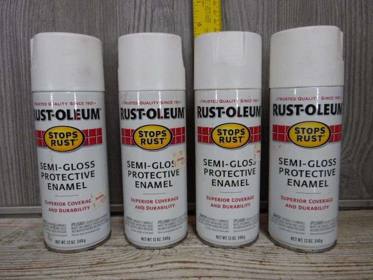 Rust-oleum & Magna Magic - Dunker Auction