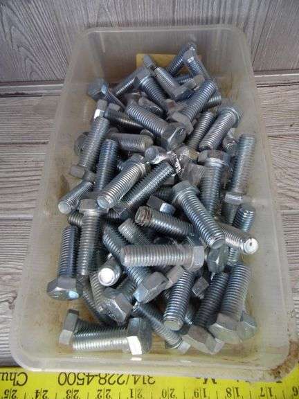 Container of Bolts - Dunker Auction